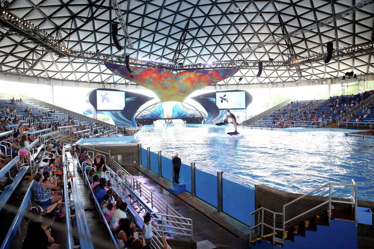 SeaWorld, Six Flags are open for business — with smaller crowds and ...