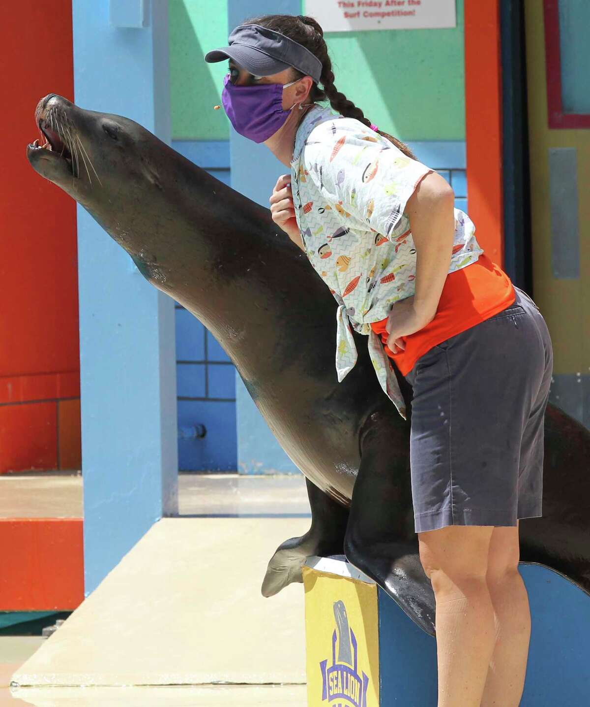 SeaWorld, Six Flags are open for business — with smaller crowds and ...