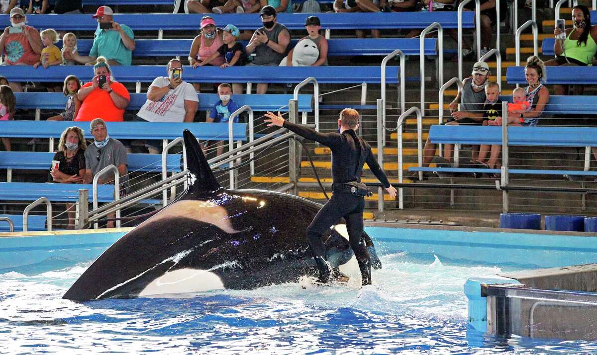 SeaWorld, Six Flags are open for business — with smaller crowds and ...