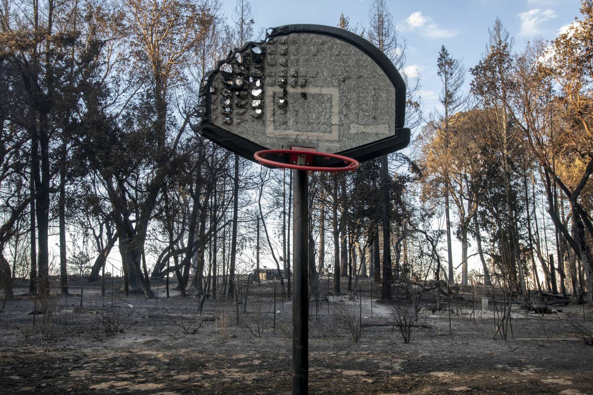 Santa Cruz County posts 'damage map' with homes destroyed in CZU Complex