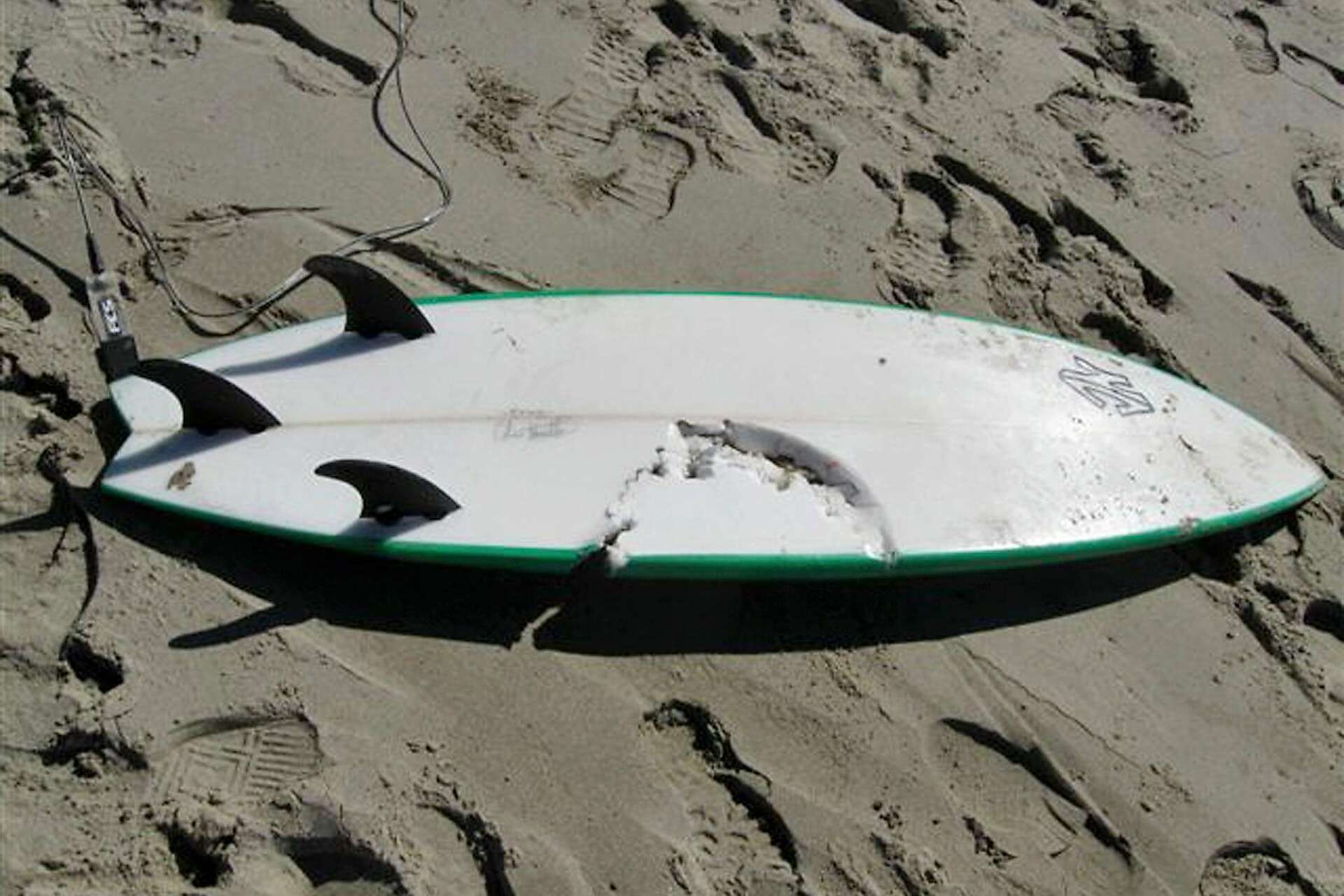 Pacifica surfers have close encounter with great white shark