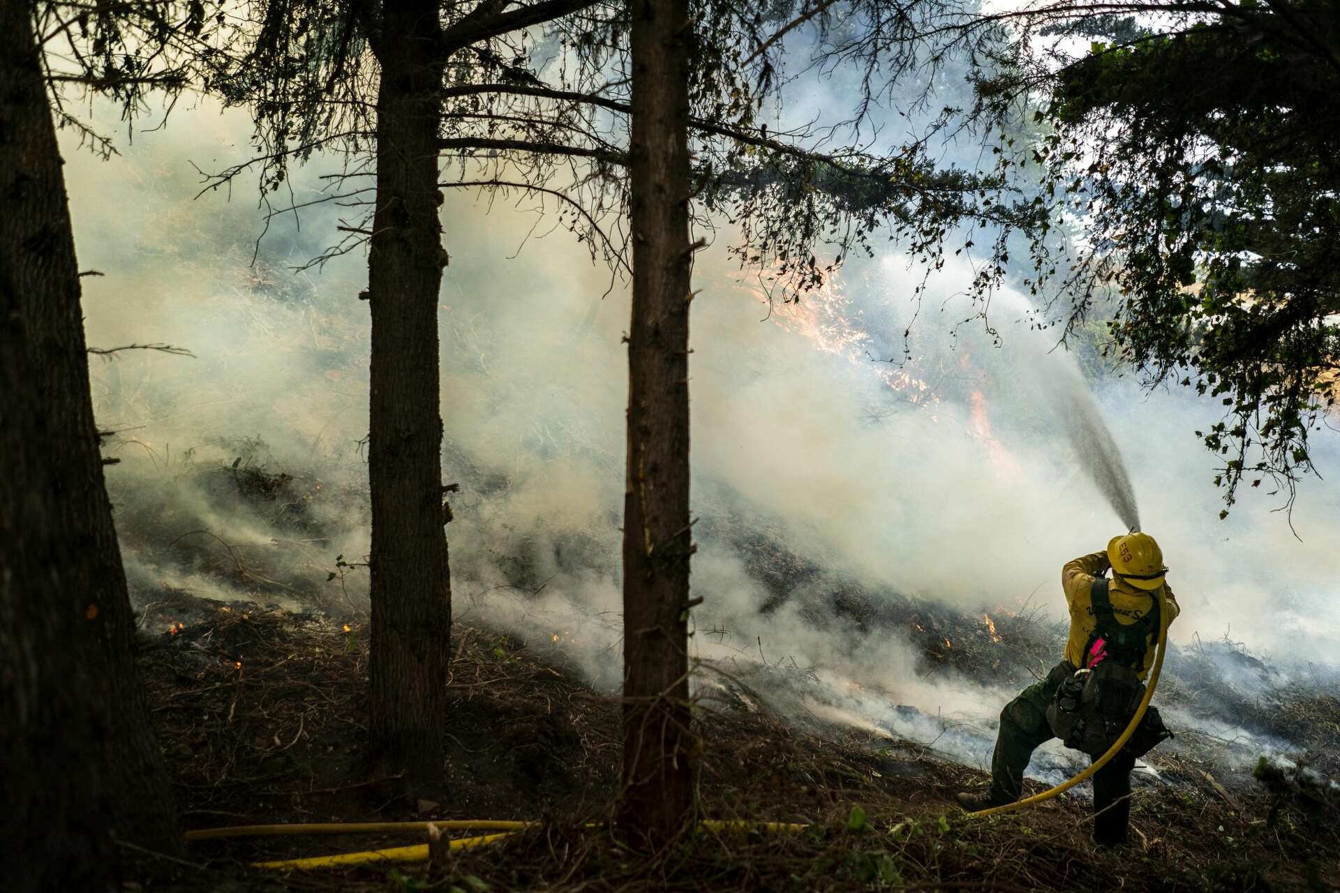 Big Sur wildfire runs through Julia Pfeiffer Burns State Park