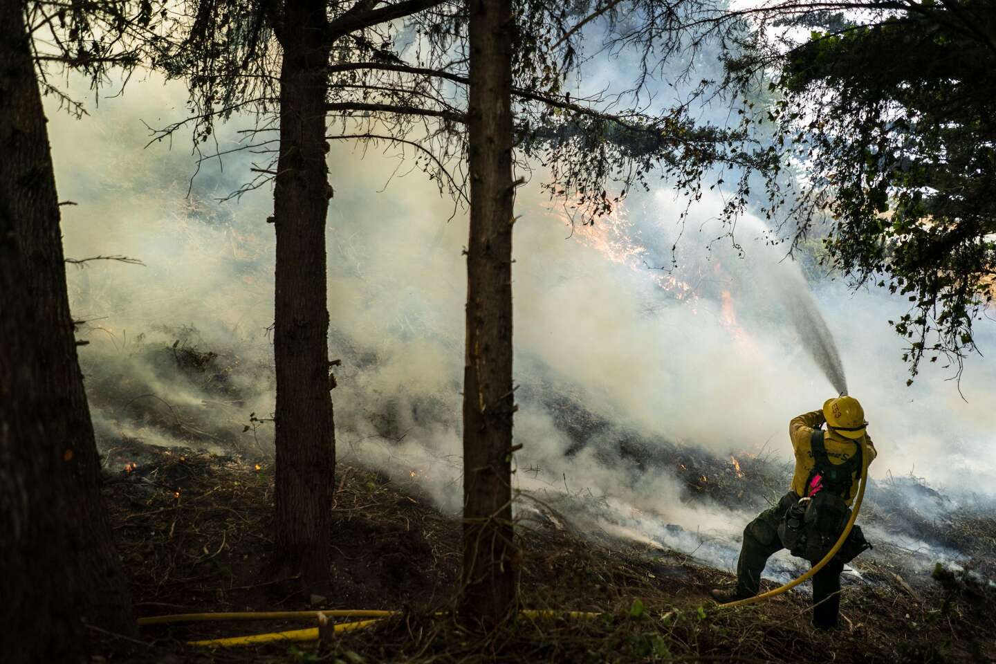 Big Sur wildfire runs through Julia Pfeiffer Burns State Park