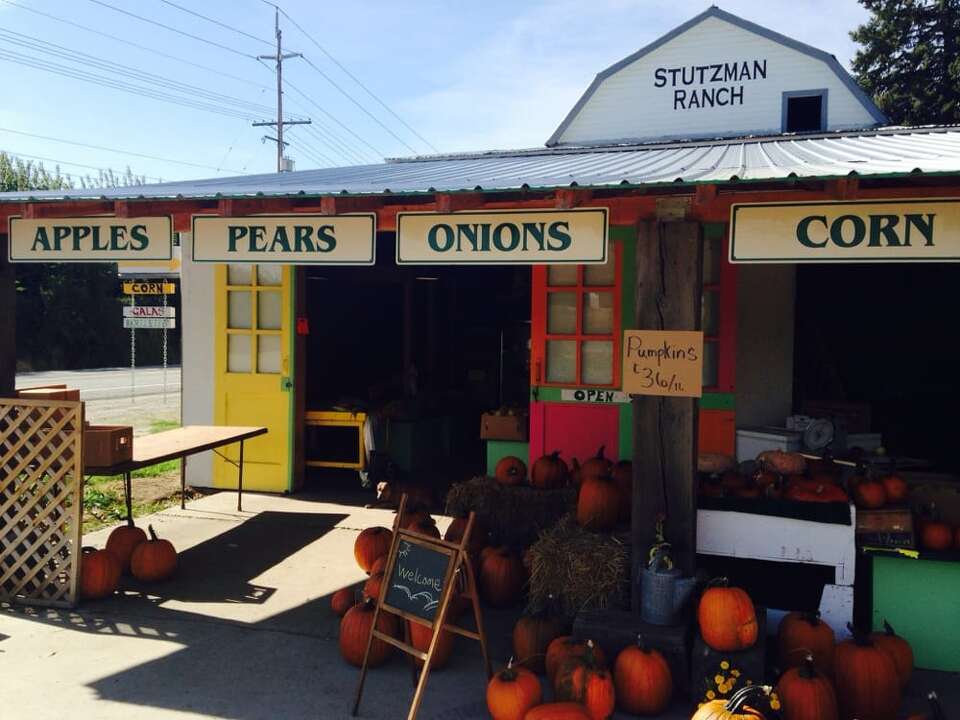 9 fantastic places to go apple picking in Washington this fall