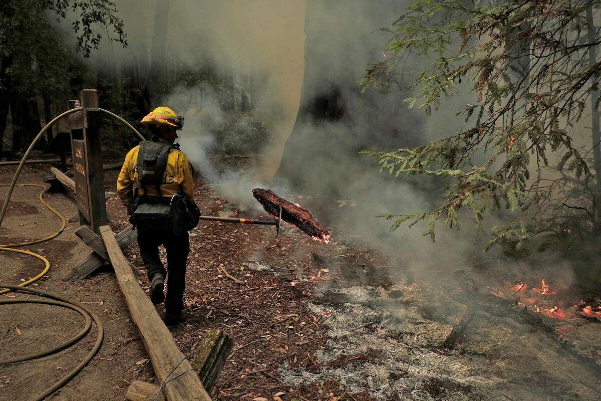 Firefighters save 1,400-year-old redwood at Armstrong park