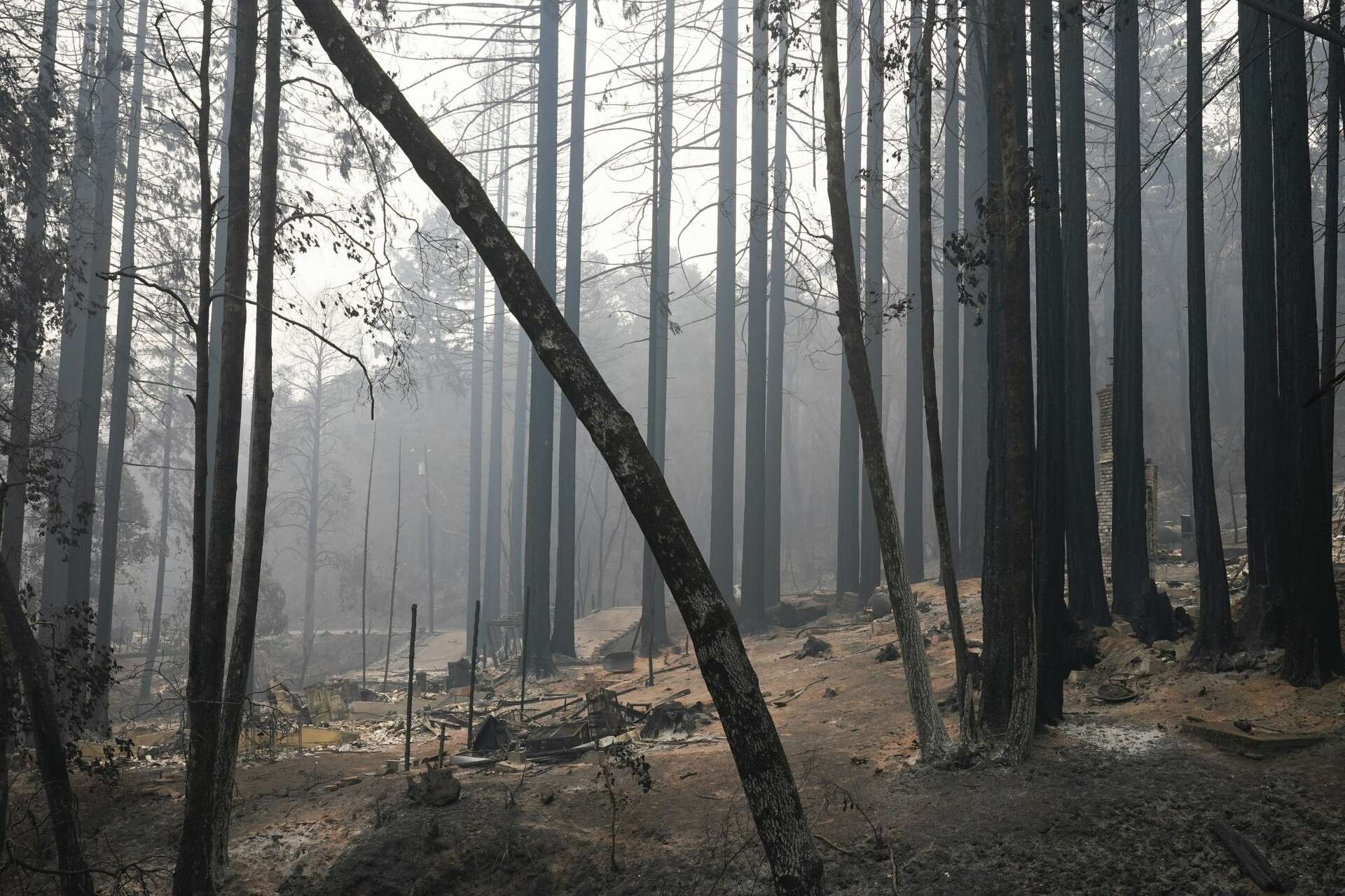 Berkeley expert explains the wildland-urban interface: 'We have to find ...