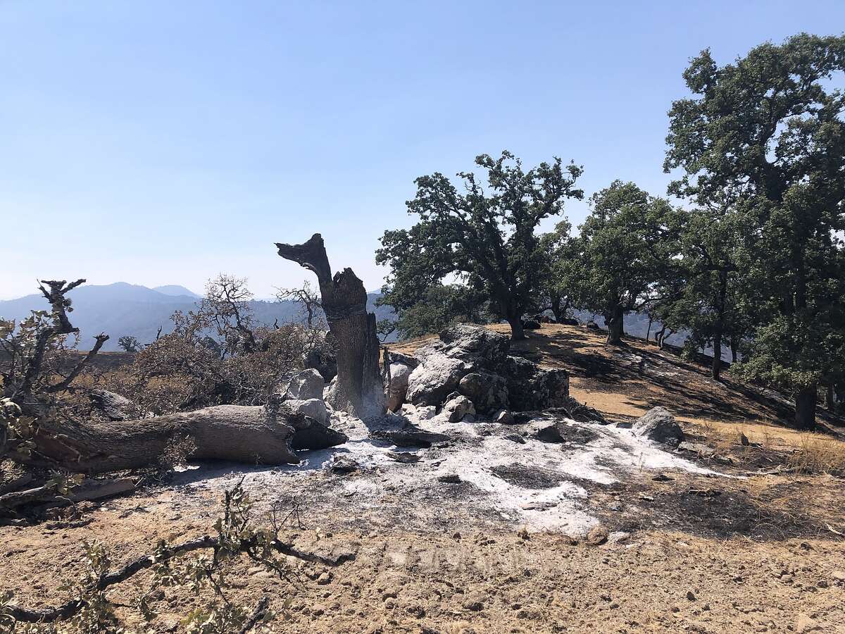 Families near Sunol wilderness marvel their homes were saved from ...