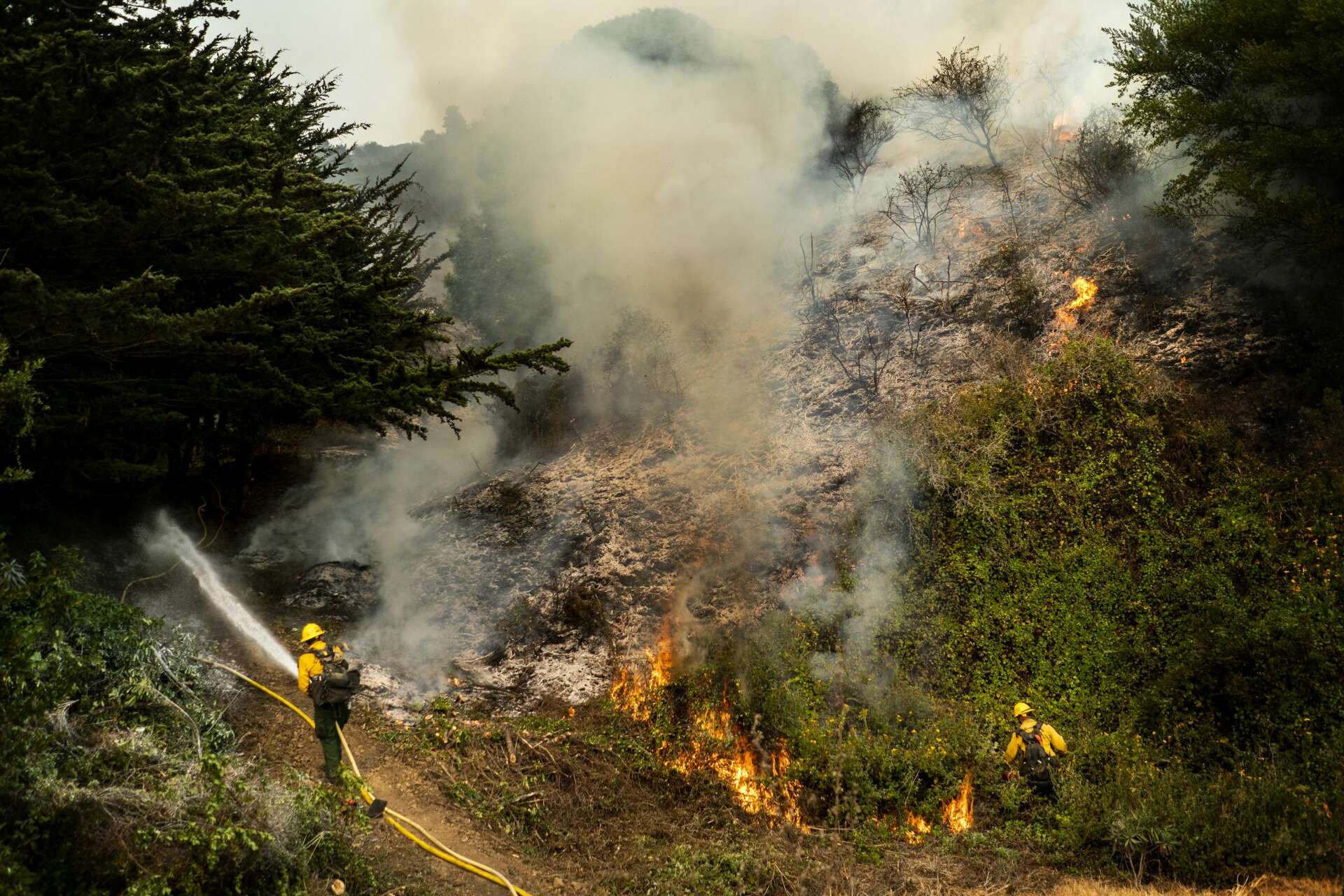 Firefighters at 3 Bay Area wildfires, now 837,000 acres combined ...