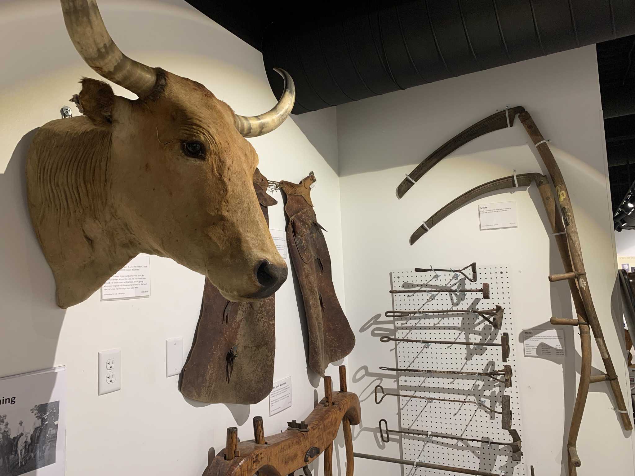 After $460K in renovations, Humble Museum set to re-open 3 years after ...