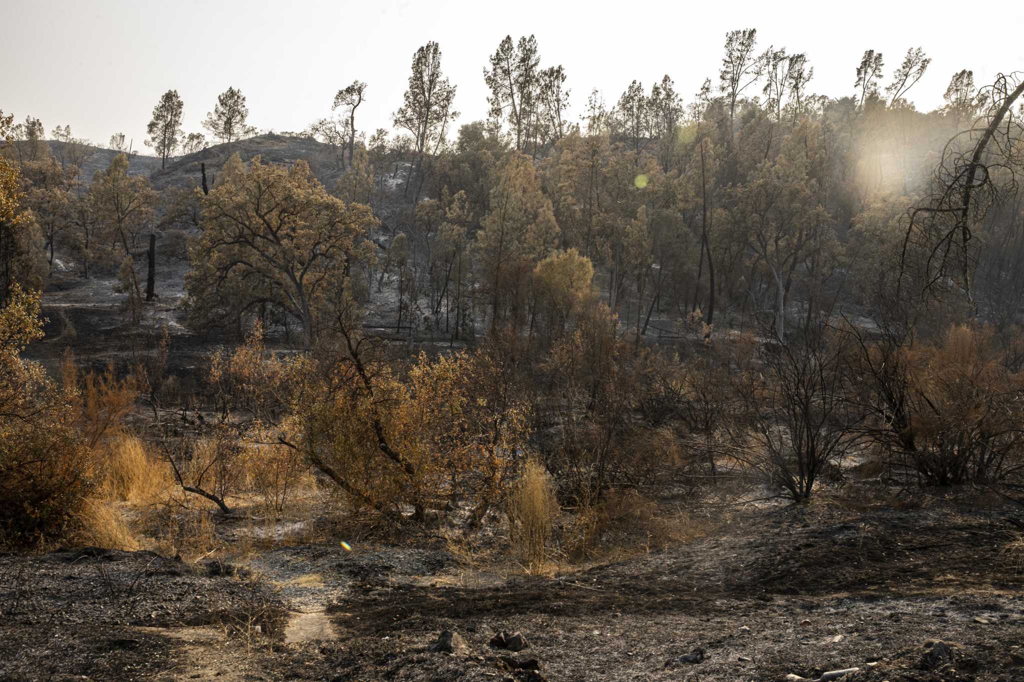When could Bay Area’s biggest fires be contained? Cal Fire updates its ...