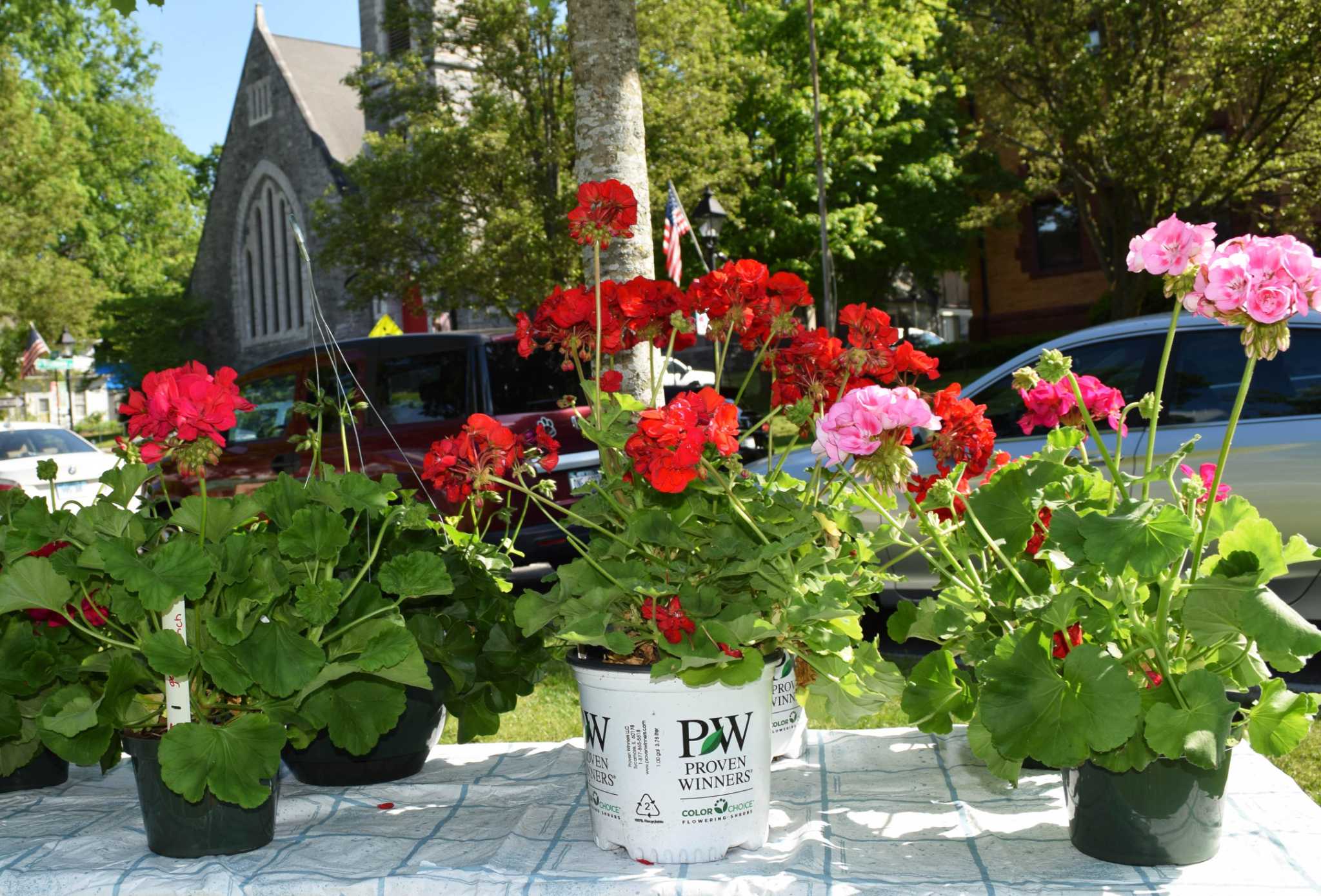 Garden club plant sale planned