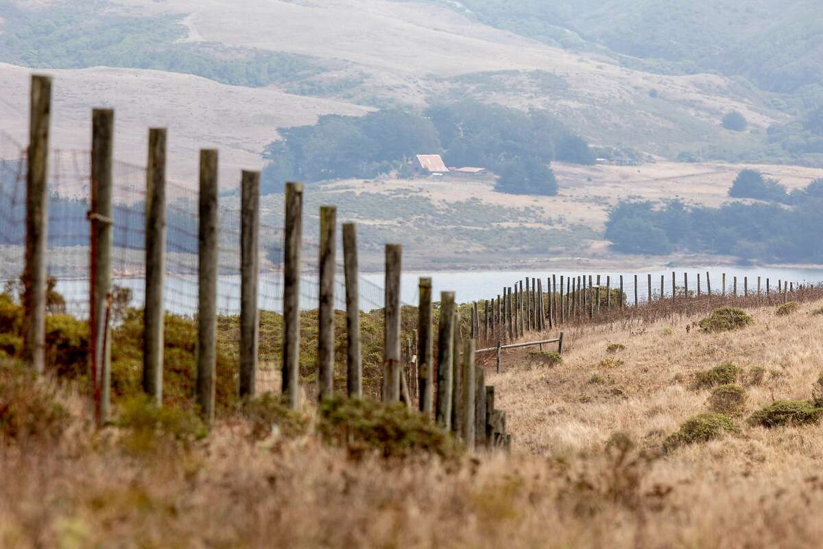 Another scuffle over Point Reyes elk population — this time over their ...