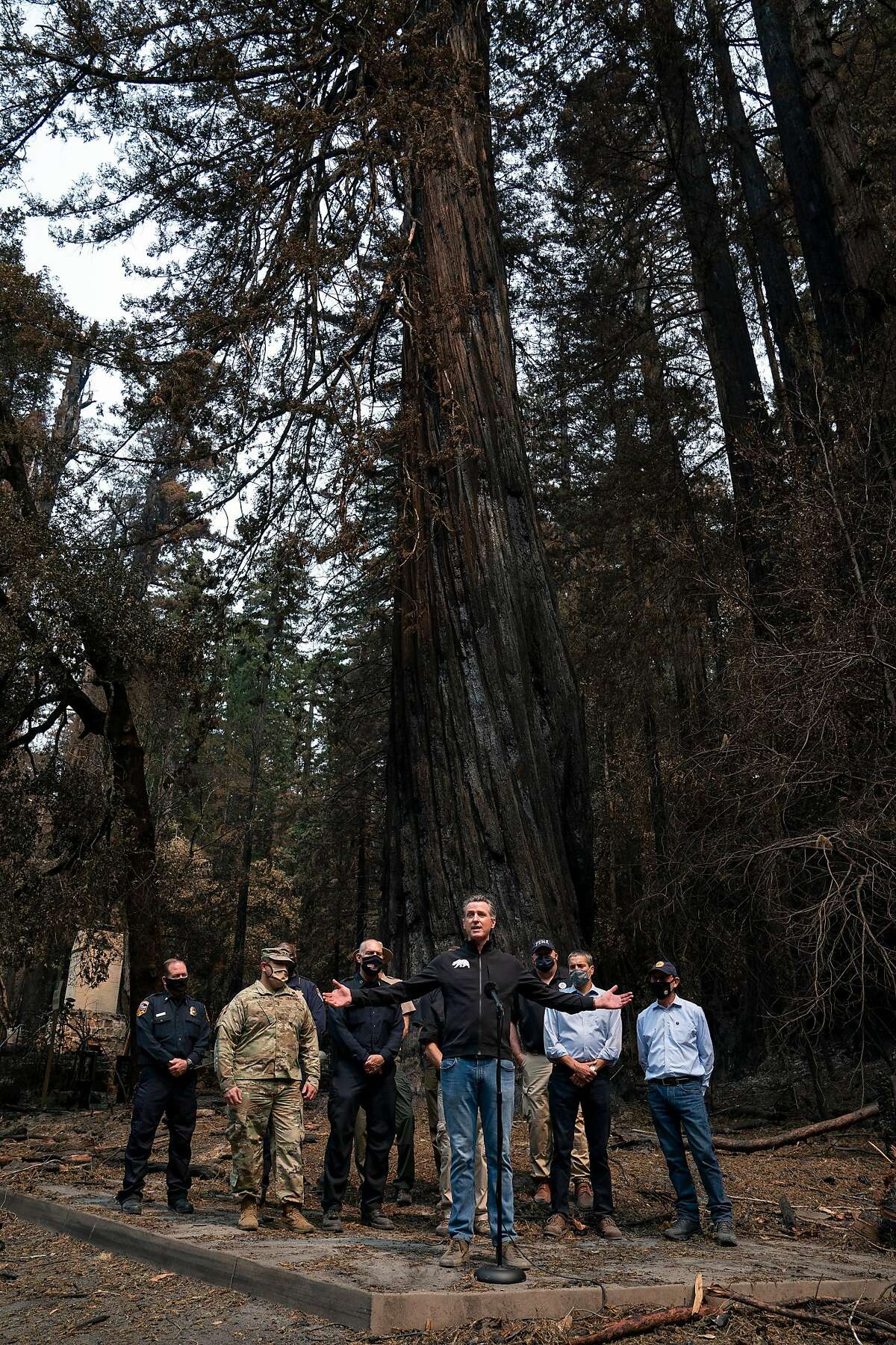 Big Basin Redwoods park, heavily damaged by fire, will stay closed for ...