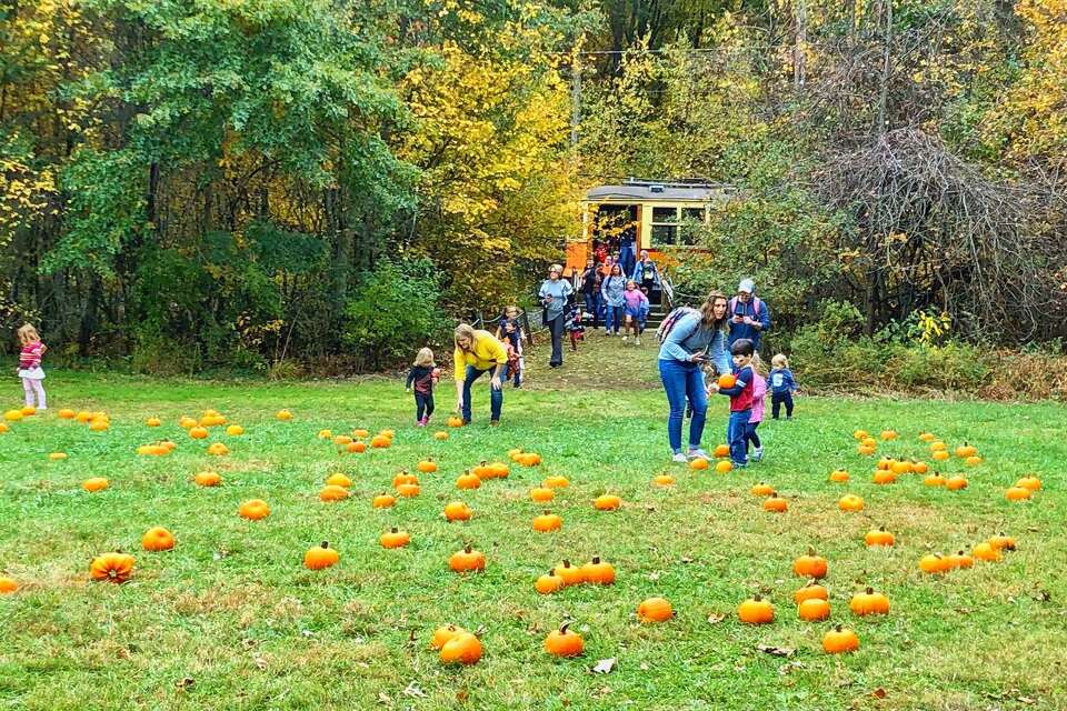 9 popular pumpkin patches less than an hour drive from Seattle