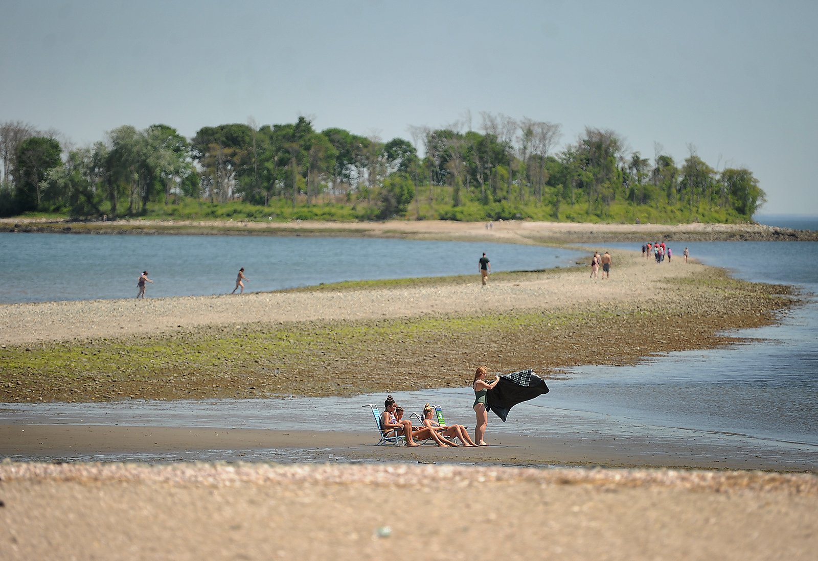 Two CT islands temporarily closed to protect nesting birds