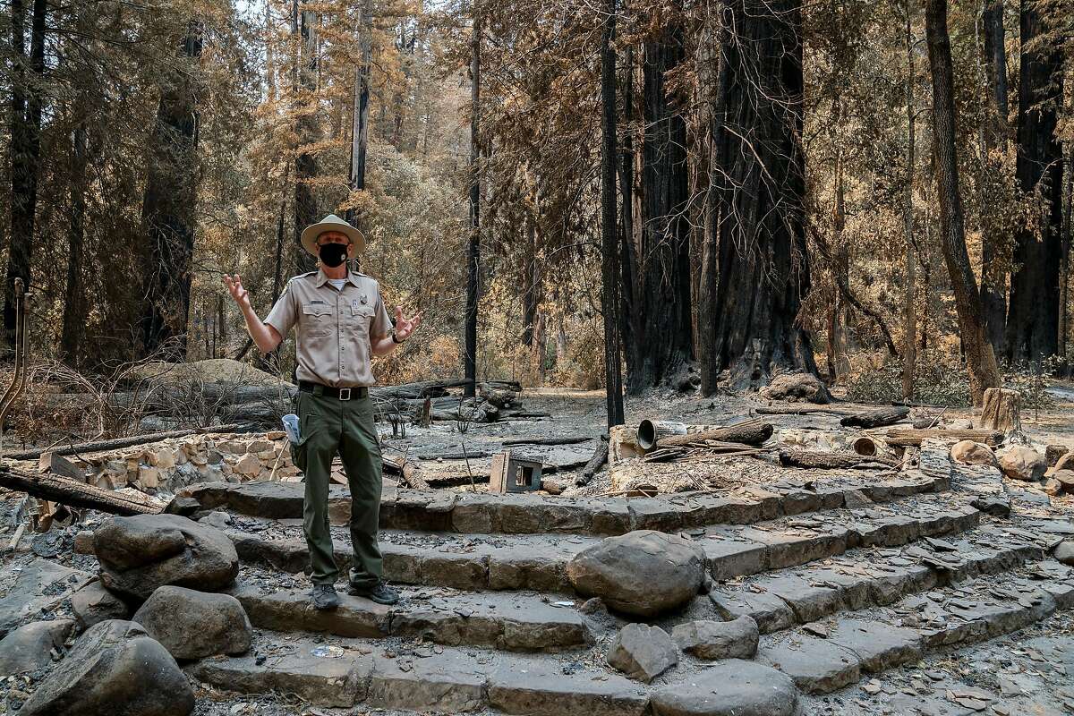 Fire-damaged Big Basin receives $543,000 in donations for recovery