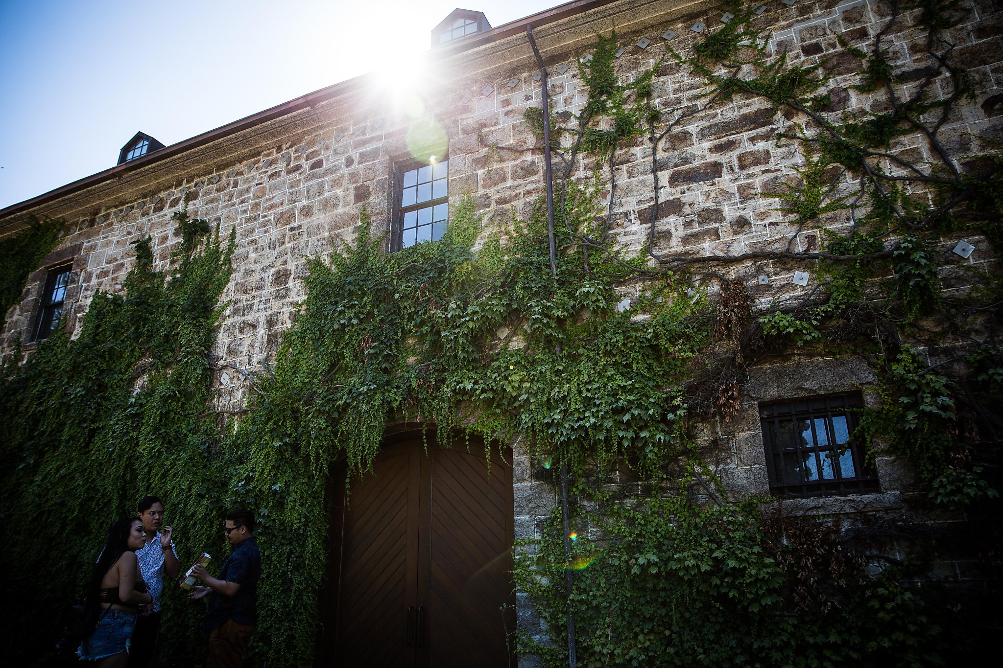 The Hess Collection: world-famous art galleries and mountain-grown Napa ...