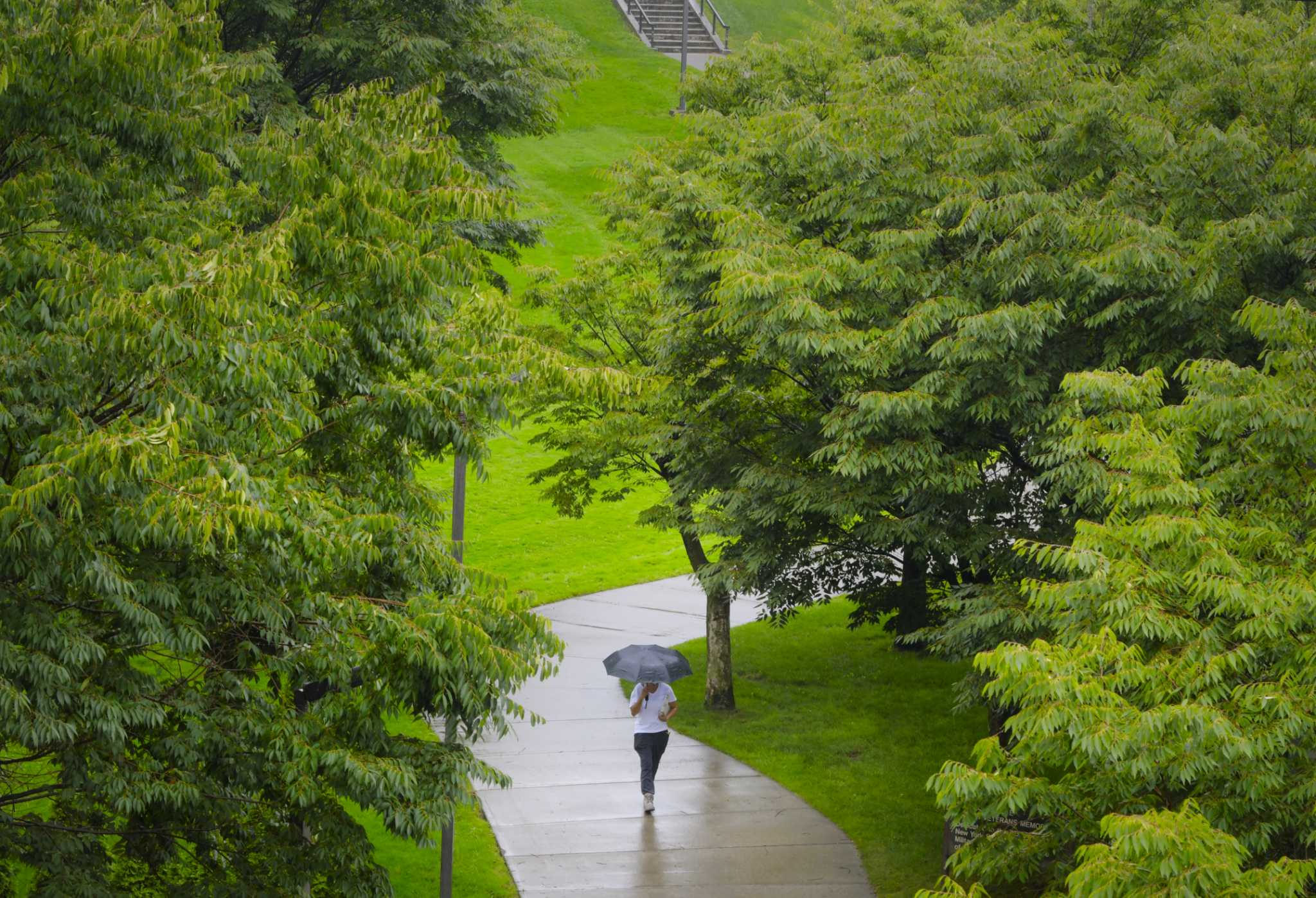 Jason Gough's forecast: Clouds thicken up, bringing rain to some