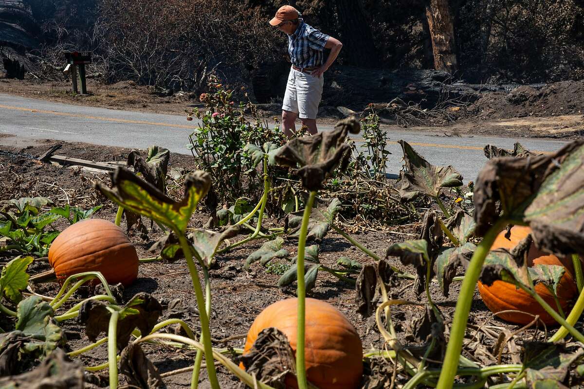 Warnings came too late in Santa Cruz fires: 'The only evacuation notice ...