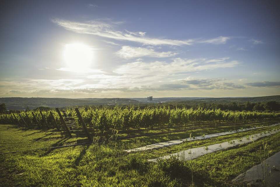 17 hard cideries in and around CT to try this fall