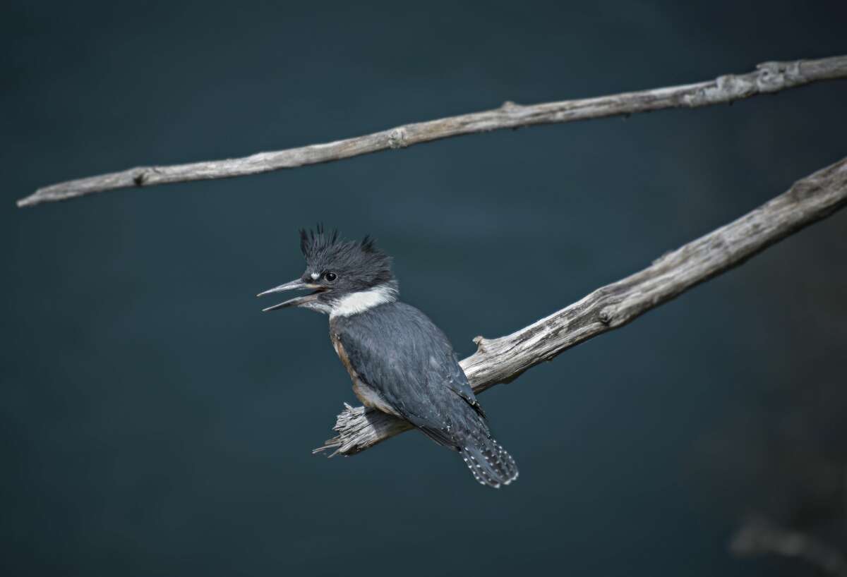 Scenic fall getaways to take in Washington