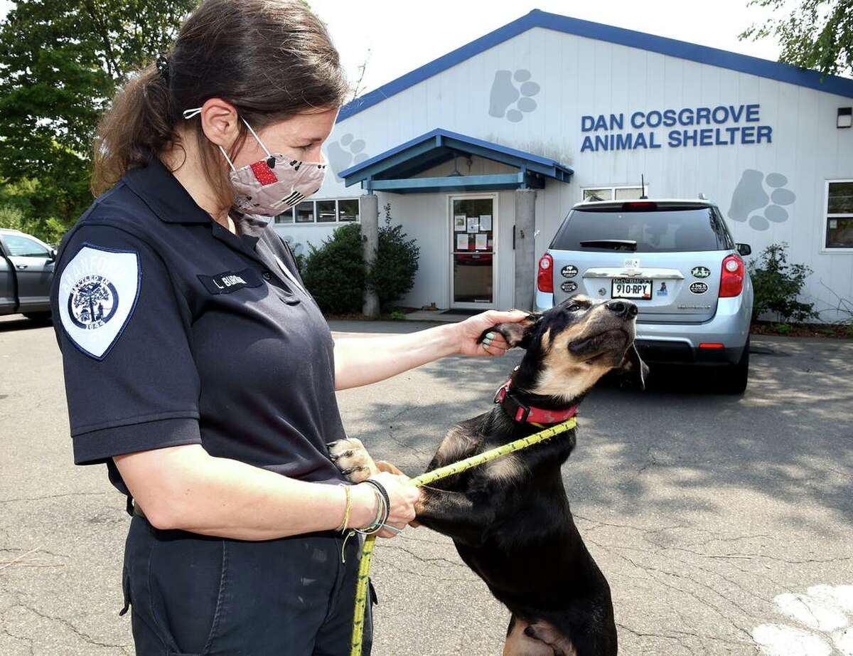 ‘What we do changes the world,’ now they need money to get a new Dan ...