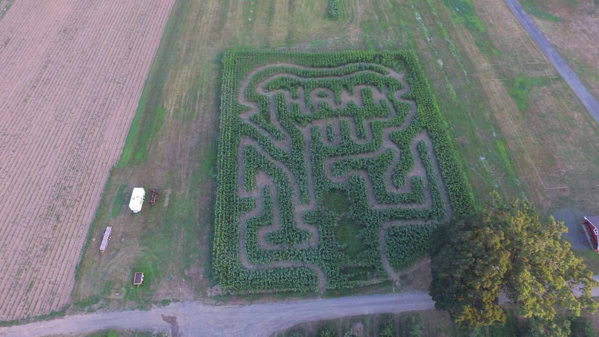 All ears: 7 corn mazes to pick from in Connecticut