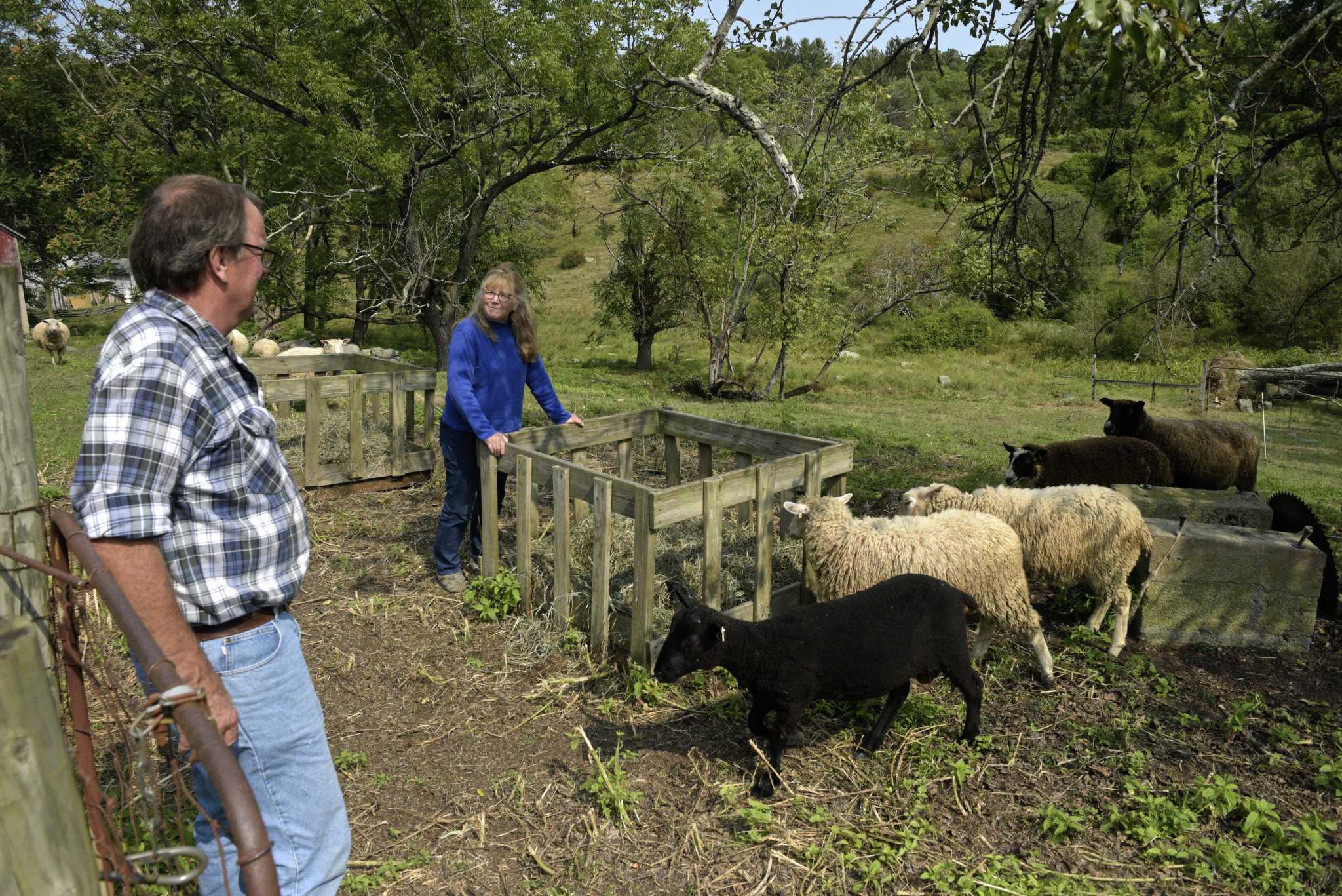 CT's Colonial-era orchards balance history and innovation