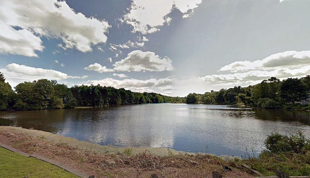 Weed infestation at Berlin pond likely killed fish