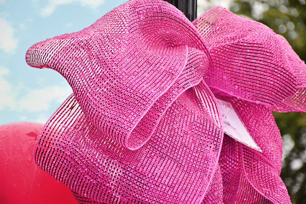 Paint the Town Pink: Honor loved ones with pink bows