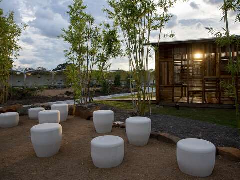 Houston Botanic Garden: Everything to know before you go