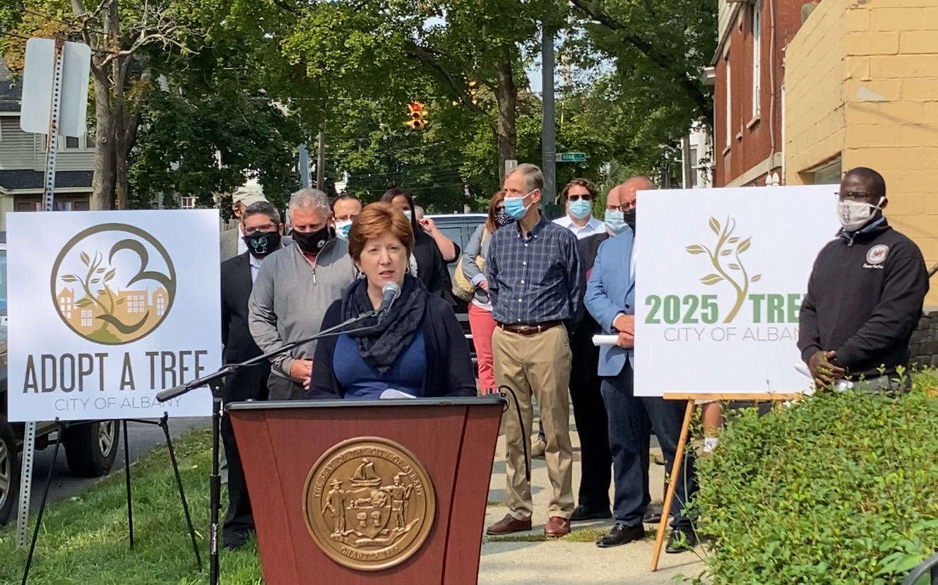 Albany sets goal of planting 2,025 trees
