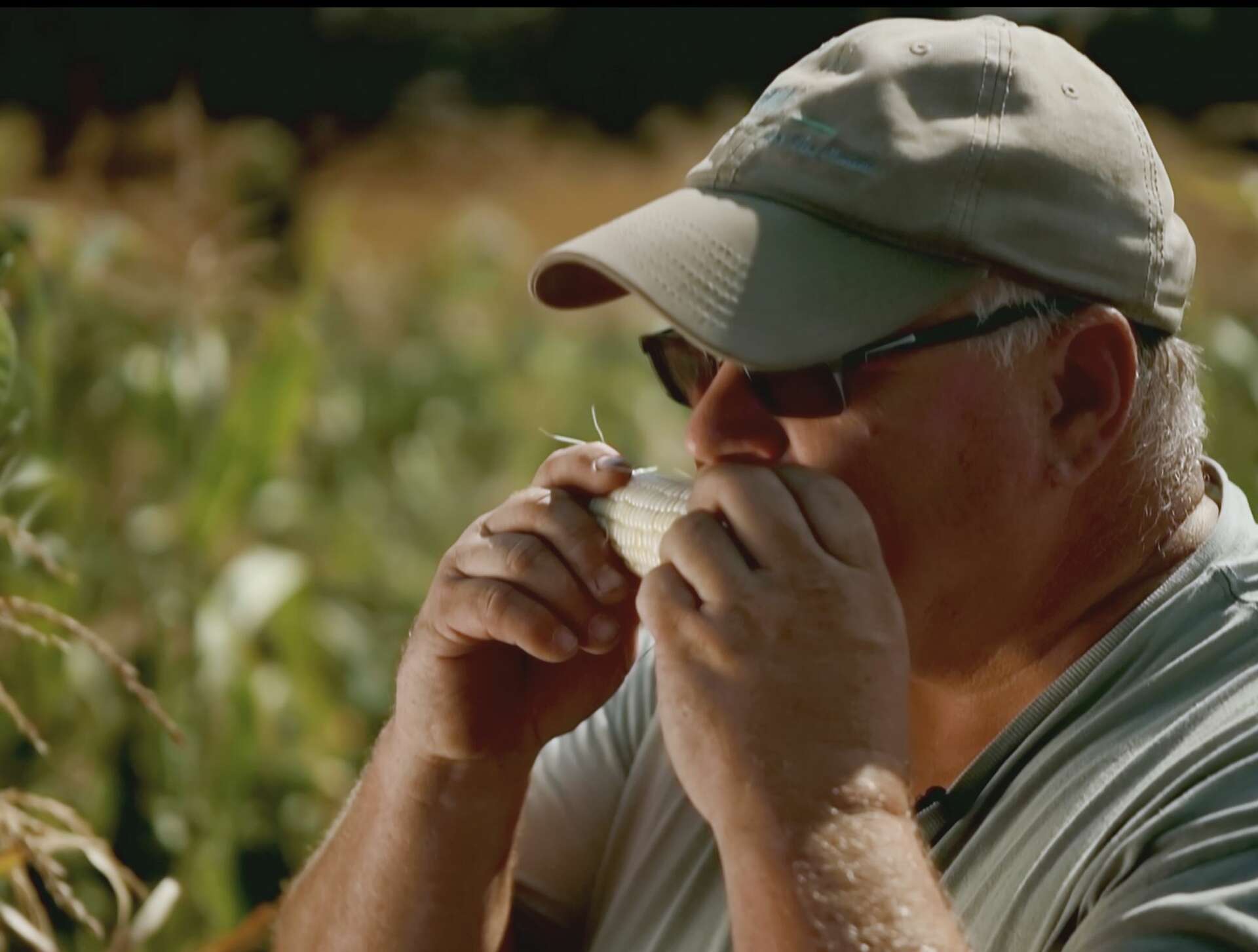 Inspiring Netflix documentary 'Kiss the Ground': A simple solution to ...