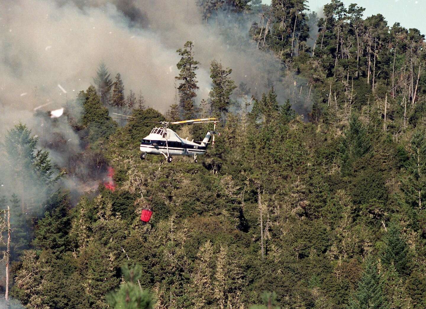 ‘Blaze races to sea’: The Mount Vision fire threatens Point Reyes 25 ...