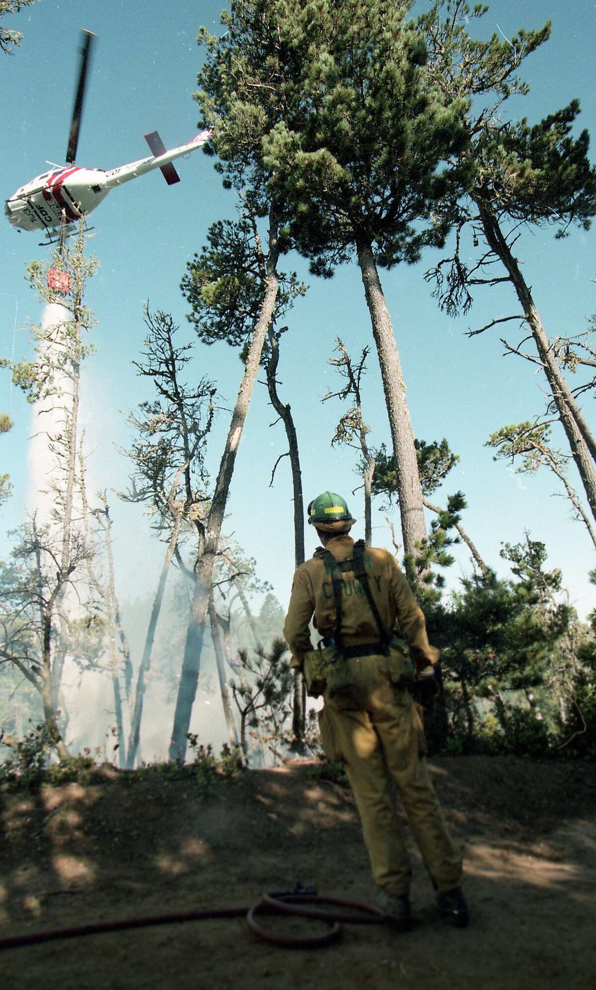 ‘Blaze races to sea’: The Mount Vision fire threatens Point Reyes 25 ...