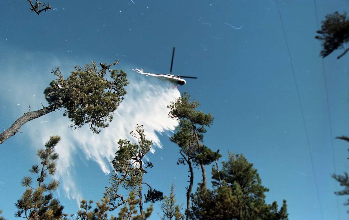 ‘Blaze races to sea’: The Mount Vision fire threatens Point Reyes 25 ...