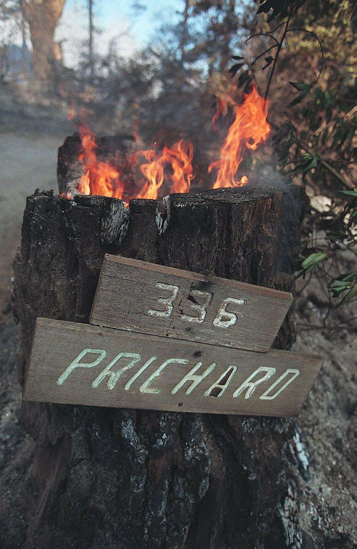 ‘Blaze races to sea’: The Mount Vision fire threatens Point Reyes 25 ...