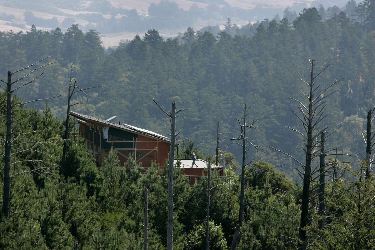 ‘Blaze races to sea’: The Mount Vision fire threatens Point Reyes 25 ...