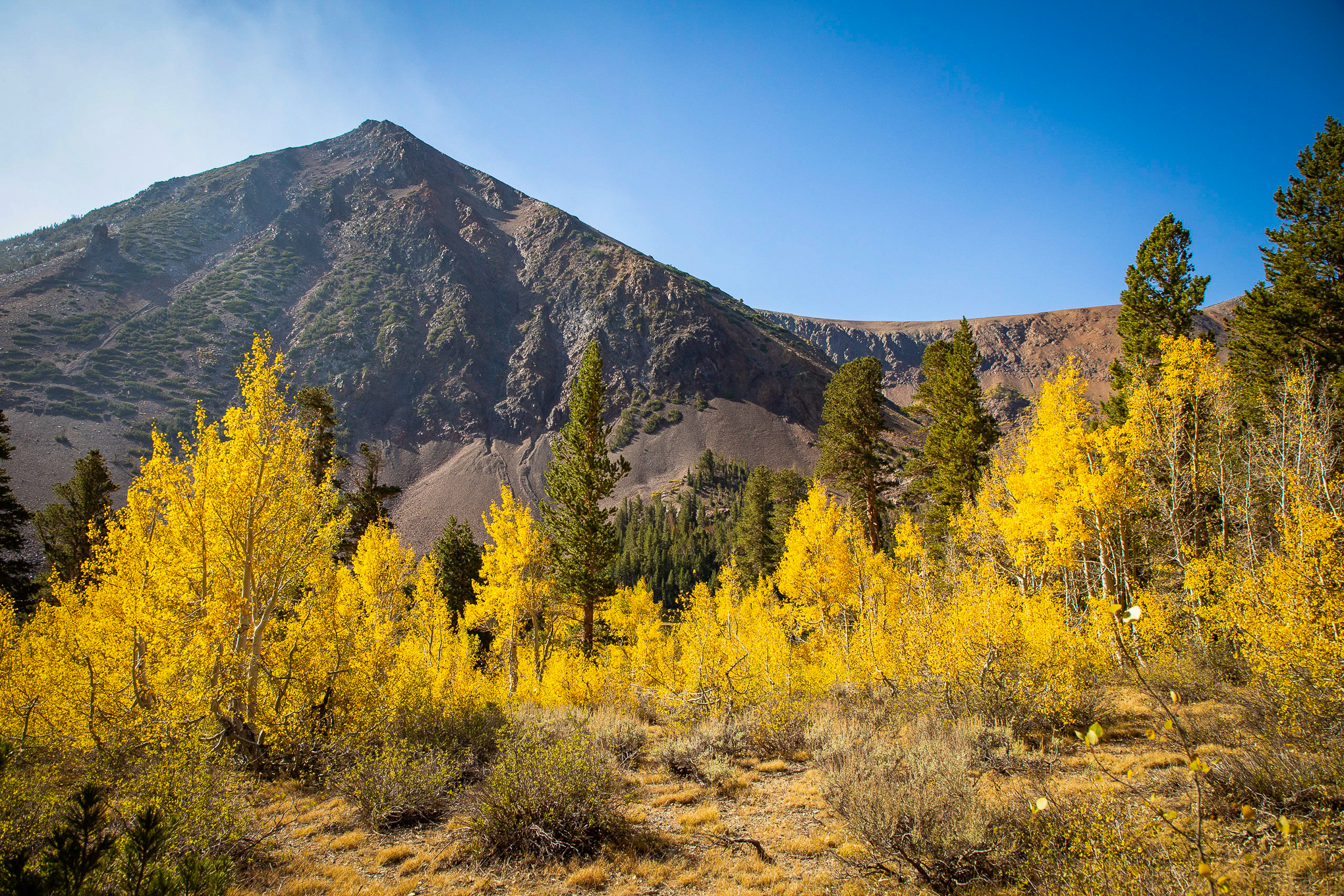 Where To Find The Prettiest Fall Foliage In Northern California And Bay Where To Find The Prettiest Fall Foliage In Northern California And Bay