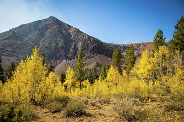 Where to find the prettiest fall foliage in Northern California and Bay ...