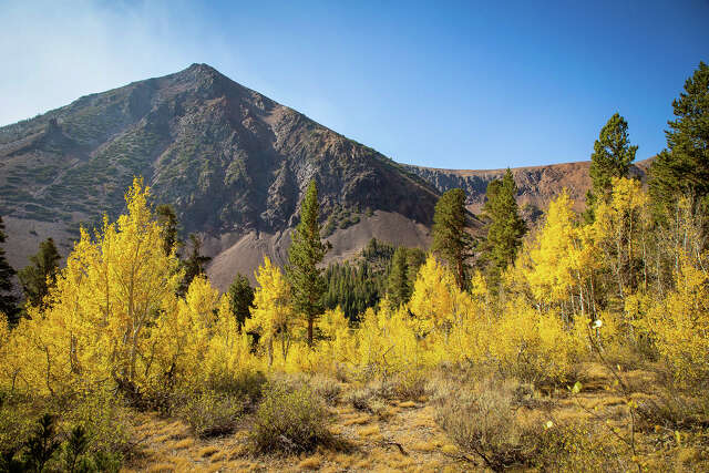 Where to find the prettiest fall foliage in Northern California and Bay ...