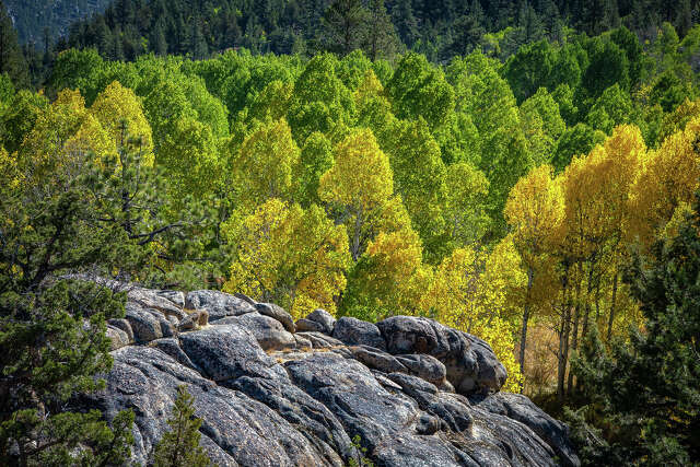 Where to find the prettiest fall foliage in Northern California and Bay ...