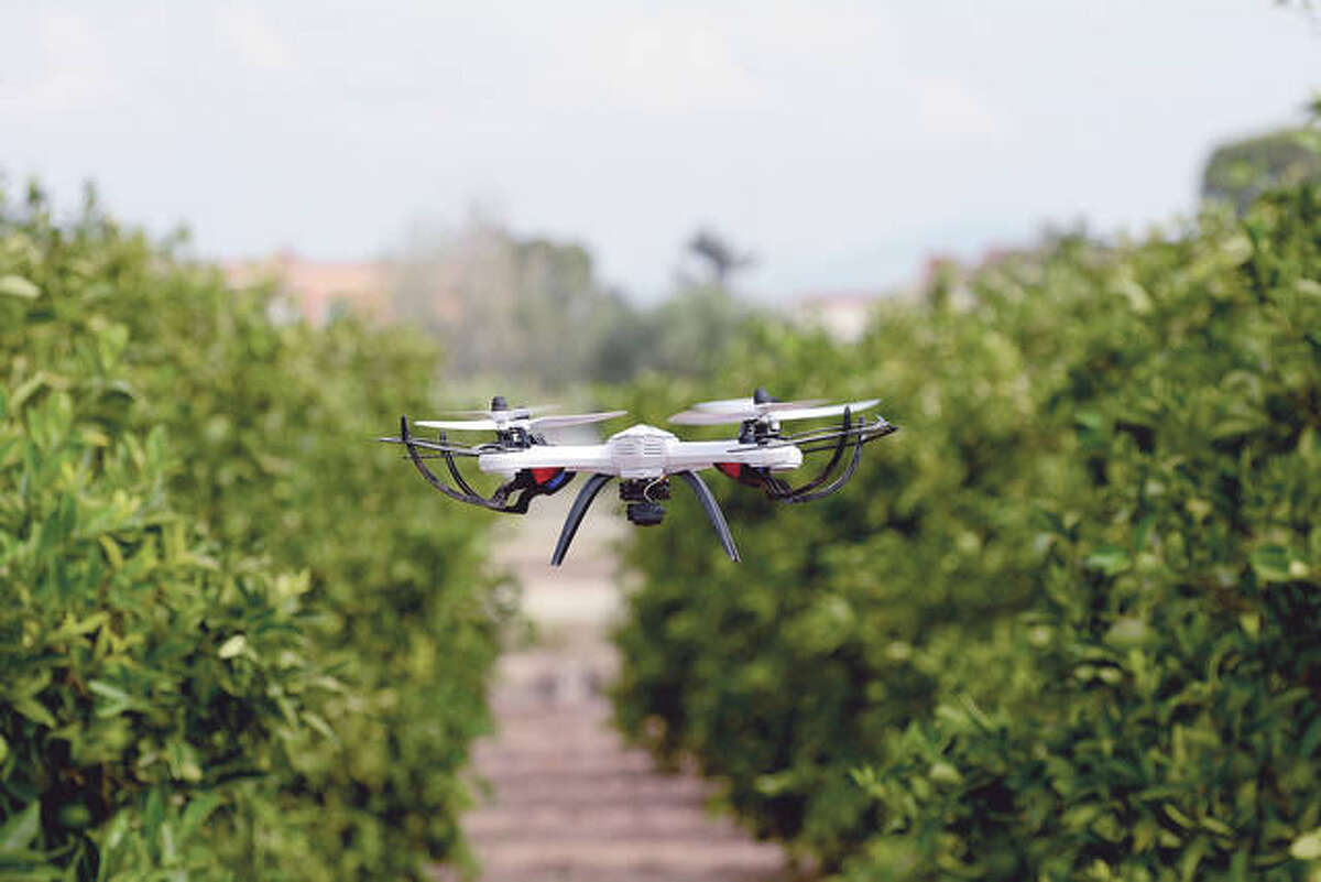 Research drones spot invasive species