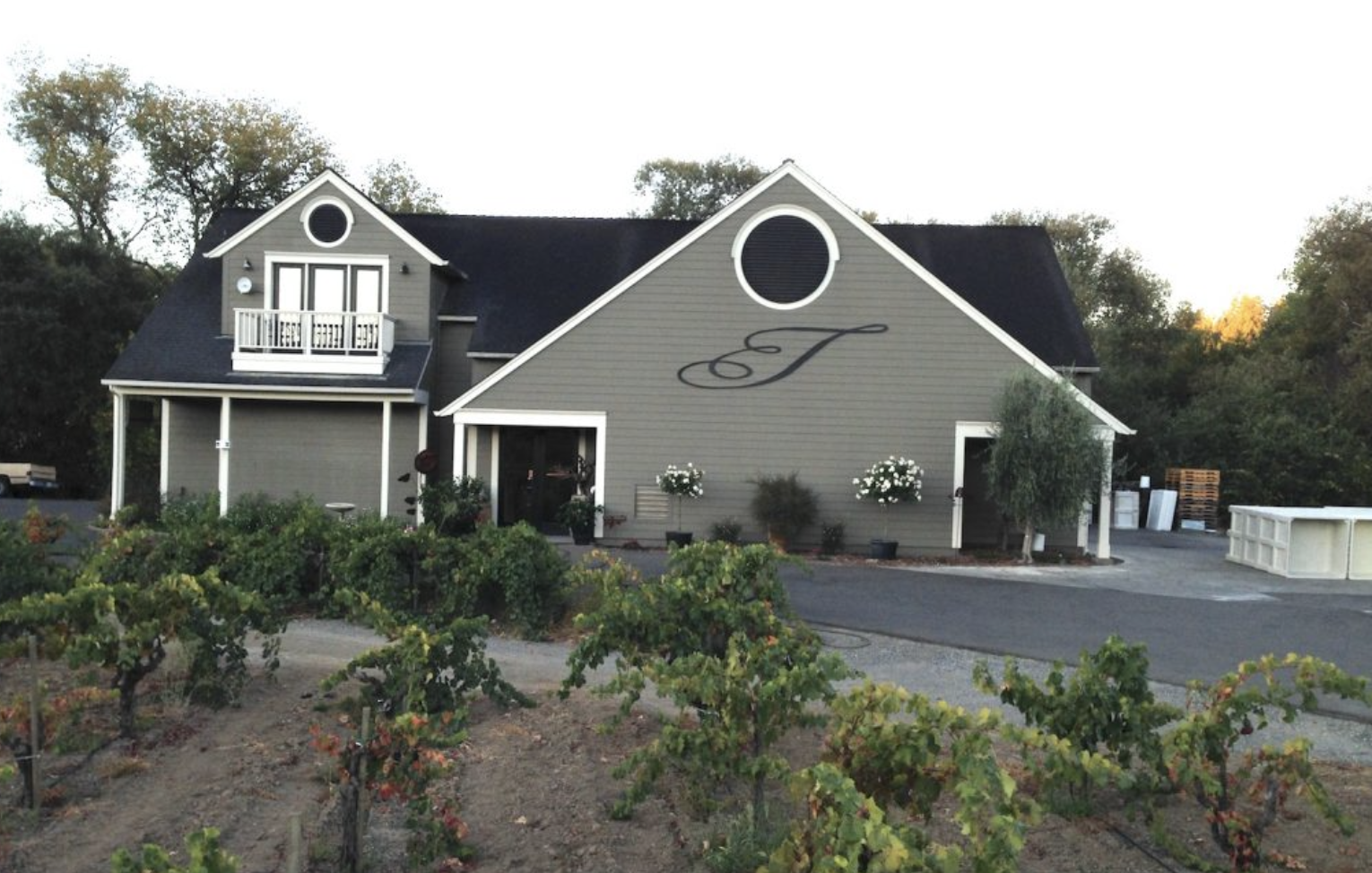 Talty: A passion project becomes reality