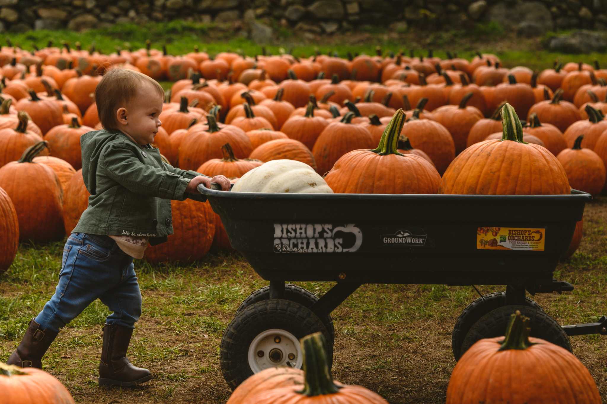 How to celebrate a pandemic Halloween