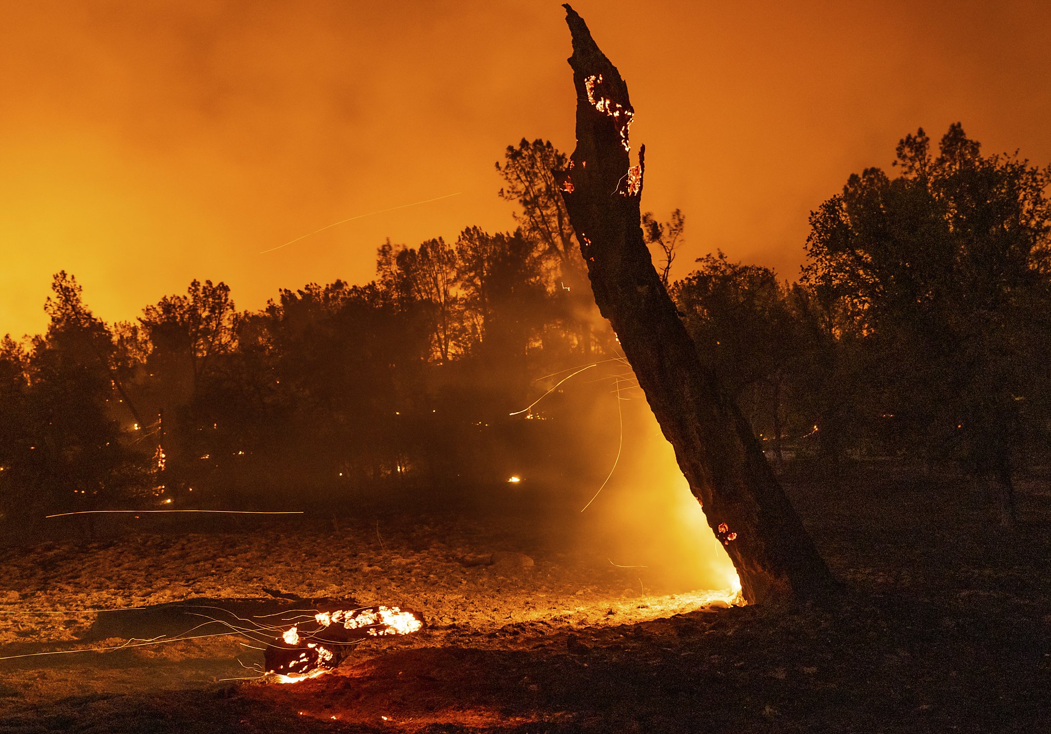 Deadly Zogg Fire and August Complex still growing in Northern, Central ...