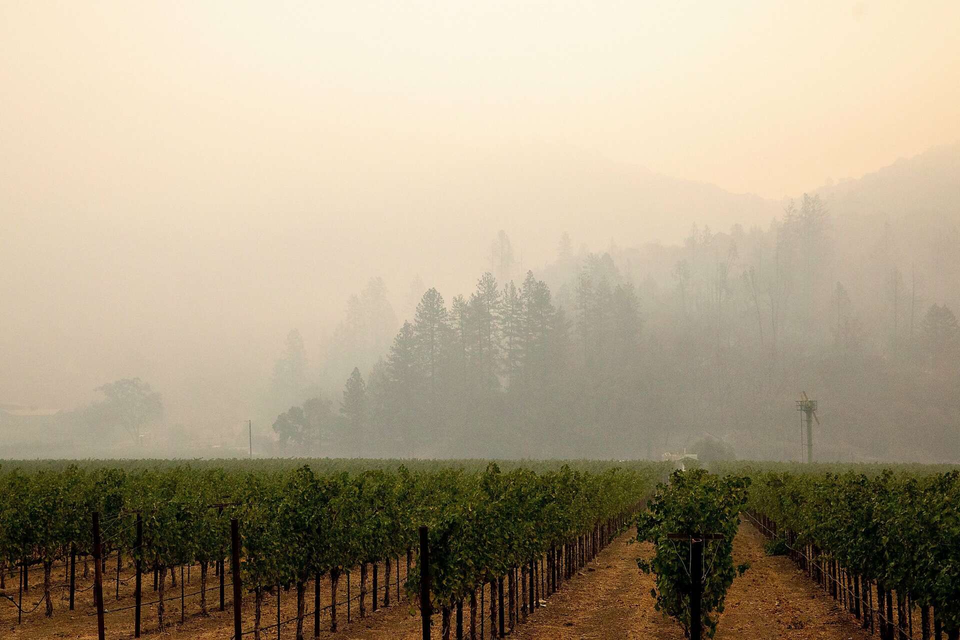 Napa's Spring Mountain avoided fires for years. Now the hill's boutique ...