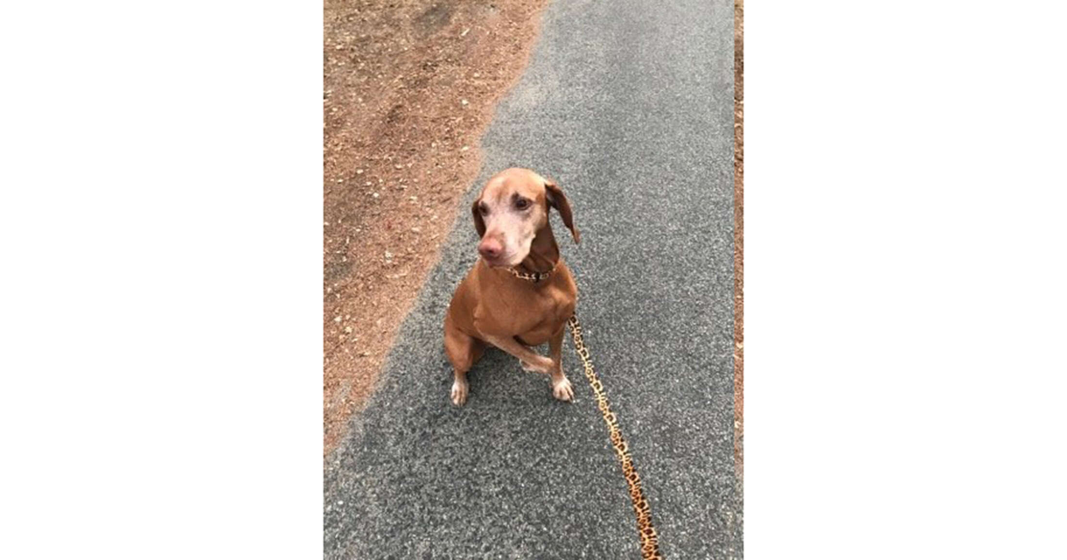 Near Glass Fire origin: Couple’s frantic escape and tragic search for ...