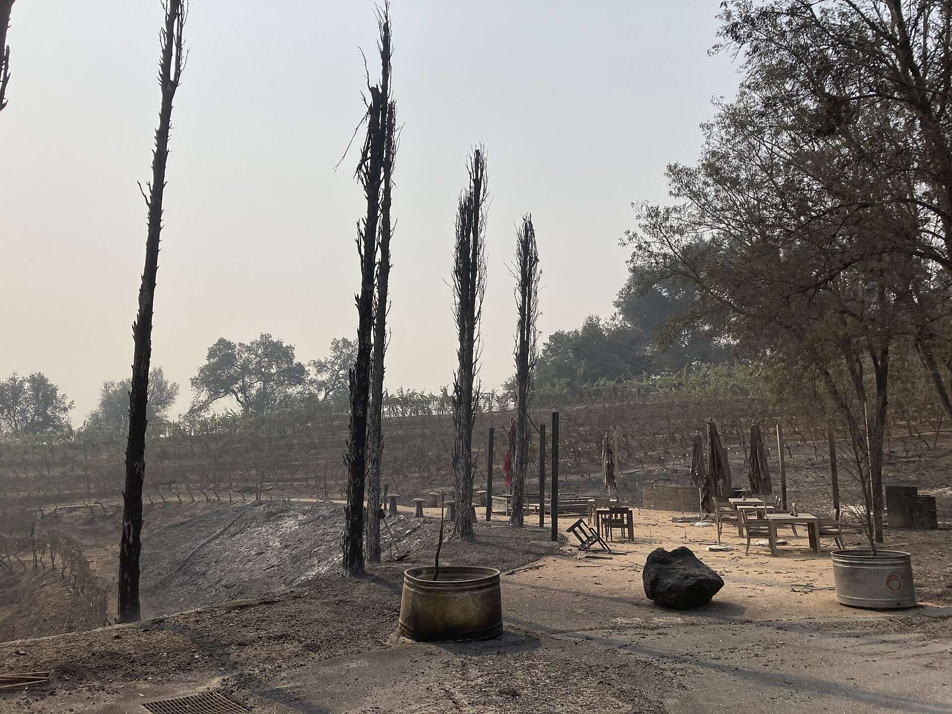 Napa's Spring Mountain avoided fires for years. Now the hill's boutique ...