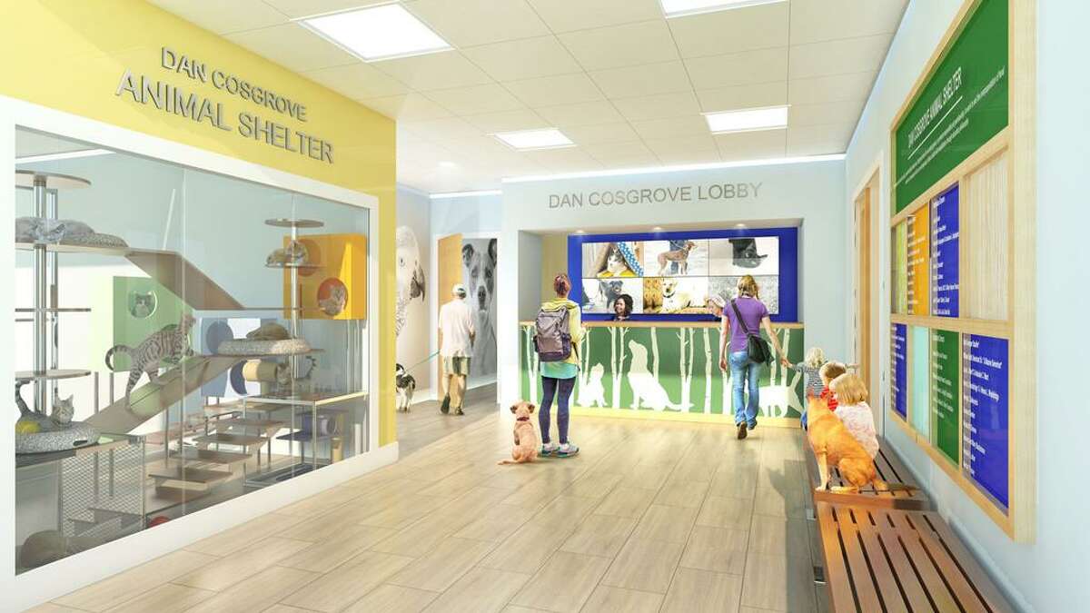 ‘What we do changes the world,’ now they need money to get a new Dan ...